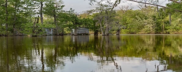 Best Private Honey Island Swamp Tours in New Orleans by Trusted Guides ...