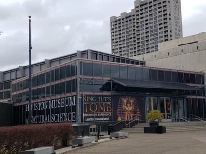Museum District & Montrose Neighborhood - Full Day Tour by David C. The ...